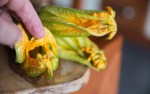 Why You Should Hand-Pollinate These Garden Veggies - Bob Vila