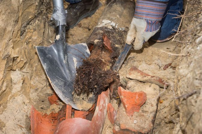 Solved! What to Do About Tree Roots in a Sewer Line - Bob Vila