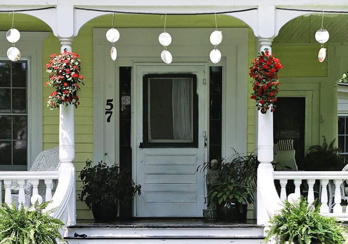 How to Make Your Windows Bird-Safe: 11 Smart Solutions - Bob Vila