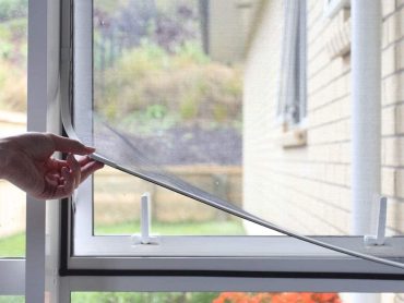 How to Make Your Windows Bird-Safe: 11 Smart Solutions - Bob Vila