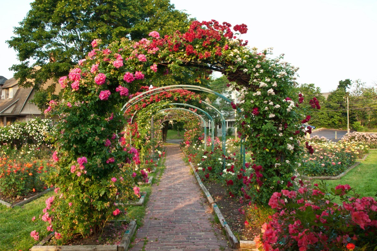 28 Flower Bed Ideas Perfect for Big or Small Yards - Bob Vila