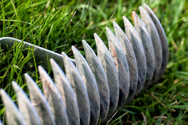 Power Rake vs. Dethatcher: What's the Difference?