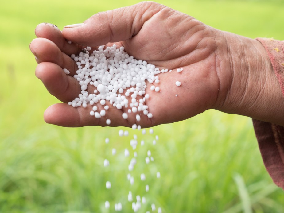Does Fertilizer Go Bad? - Bob Vila