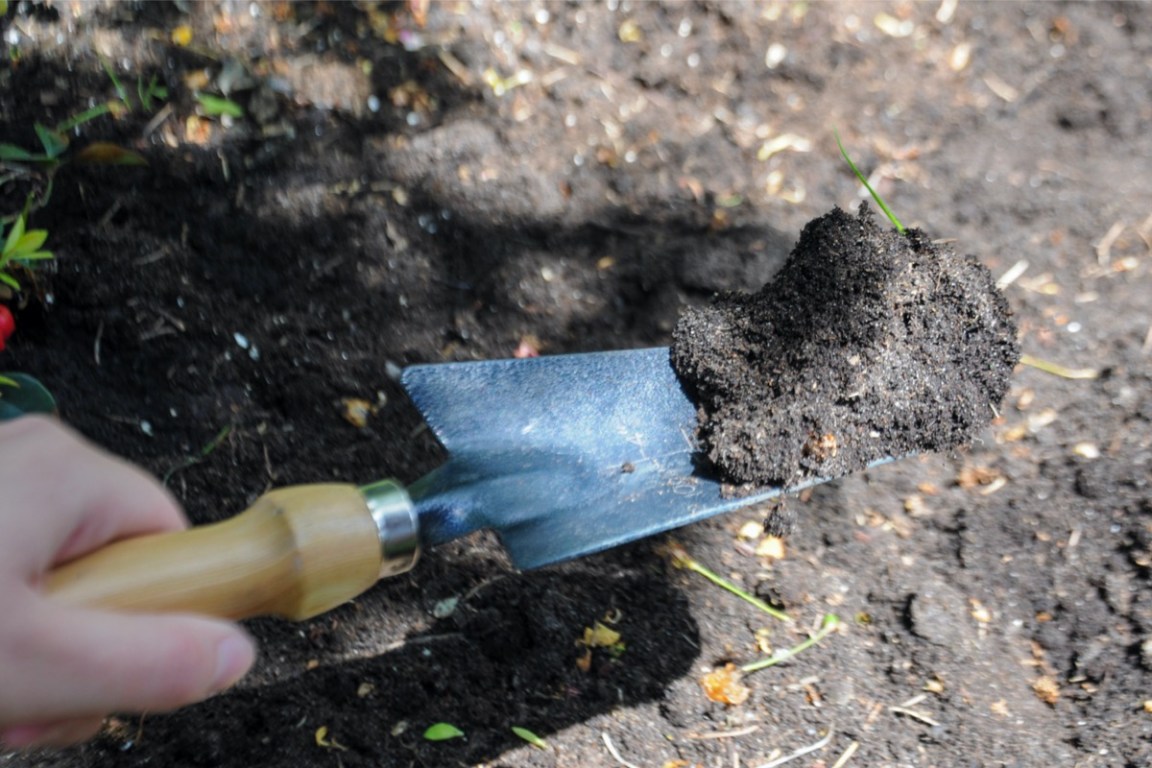 Soil Testing 101: What All DIY Landscapers Should Know - Bob Vila