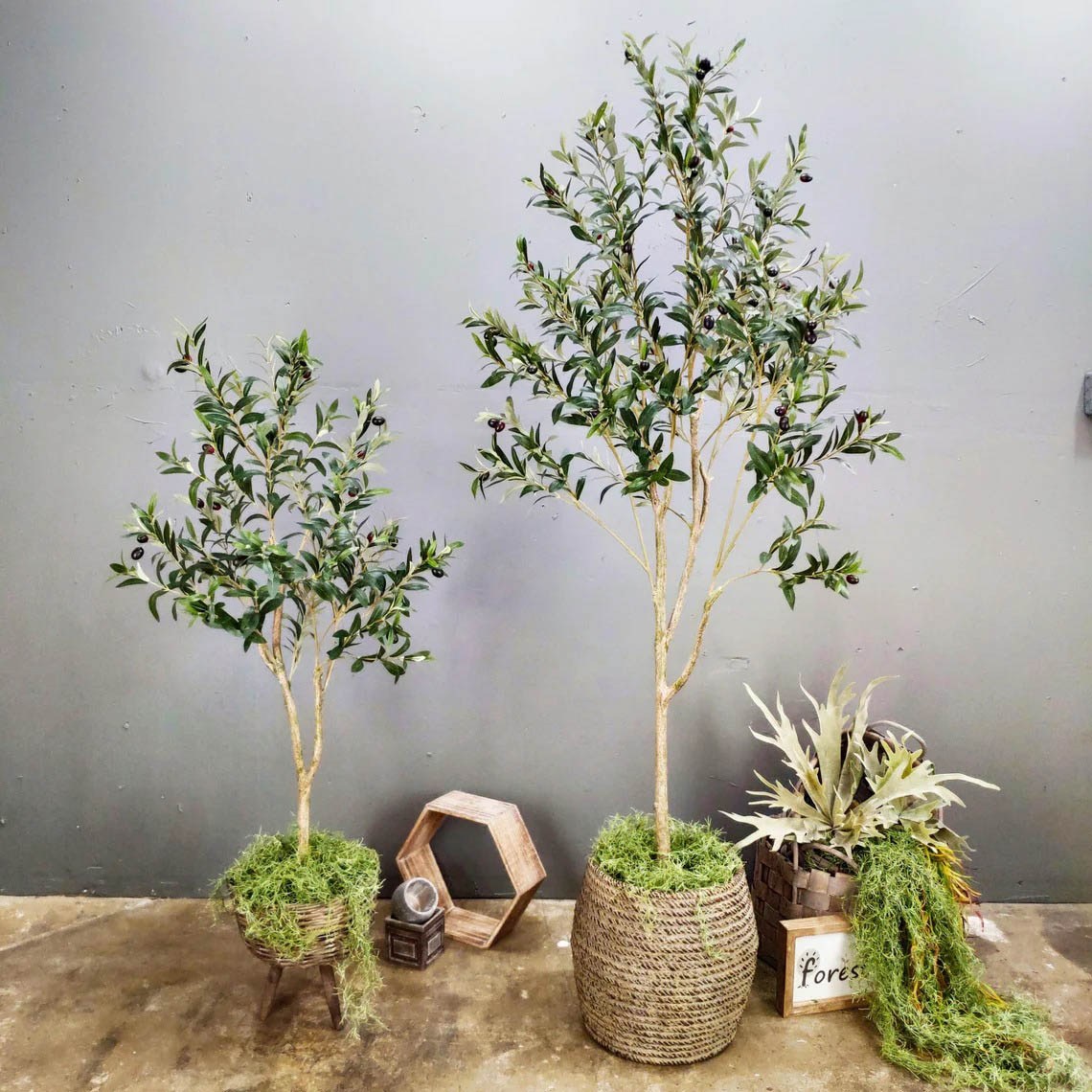 10 of the Best Faux Olive Trees Today (Editor Favorites) - Bob Vila
