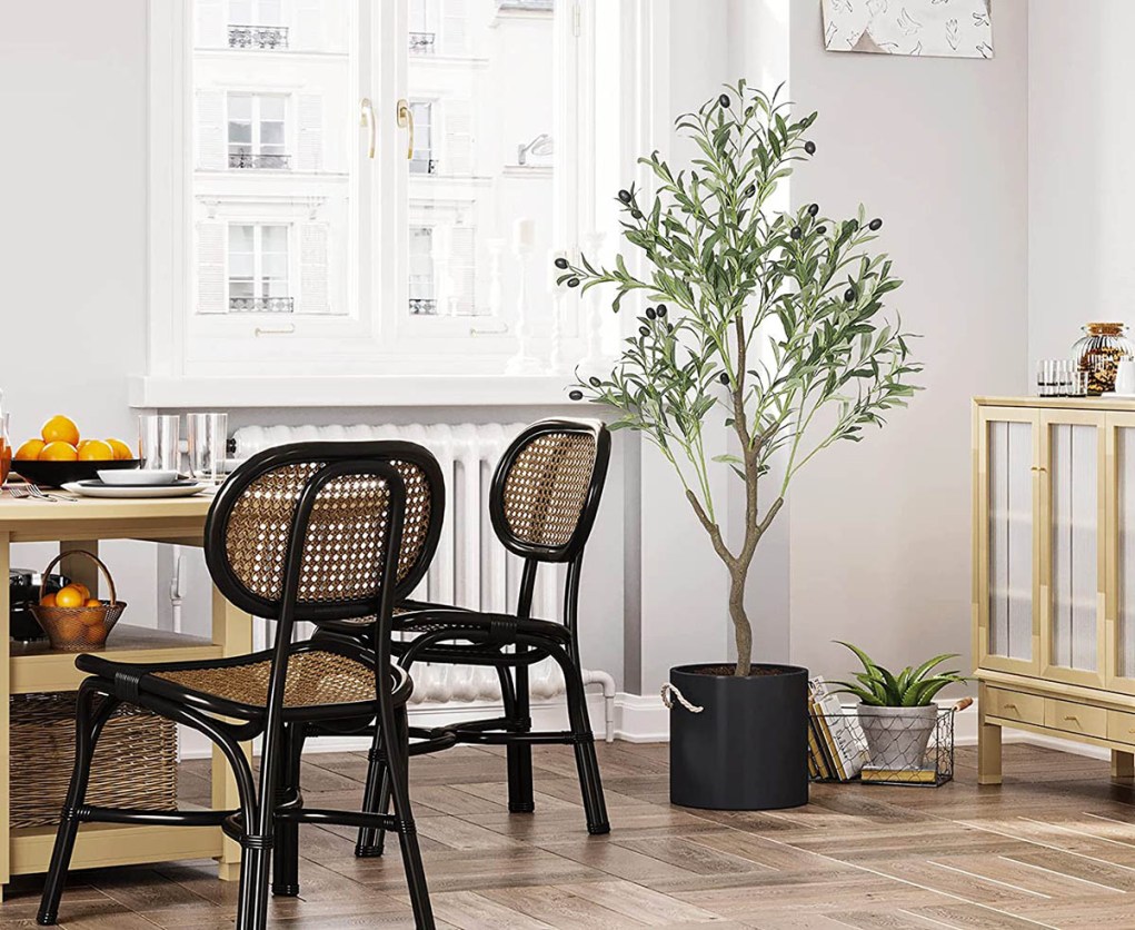 10 of the Best Faux Olive Trees Today (Editor Favorites) - Bob Vila