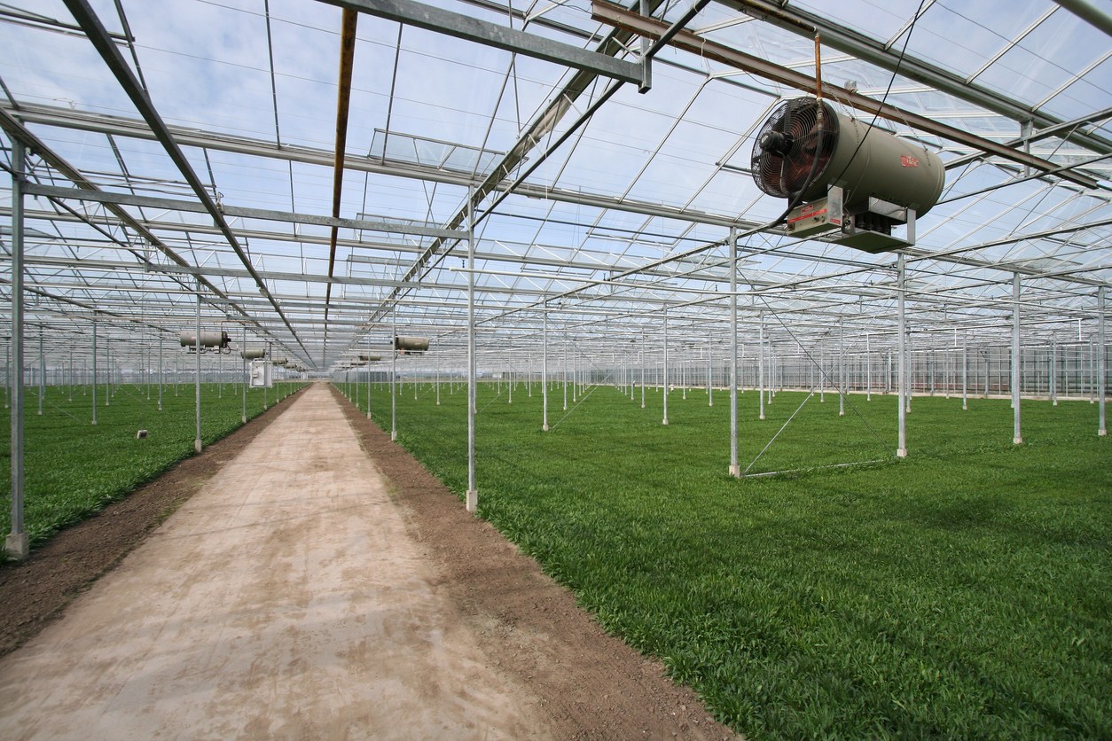 The Best Greenhouse Heaters - Picks from Bob Vila