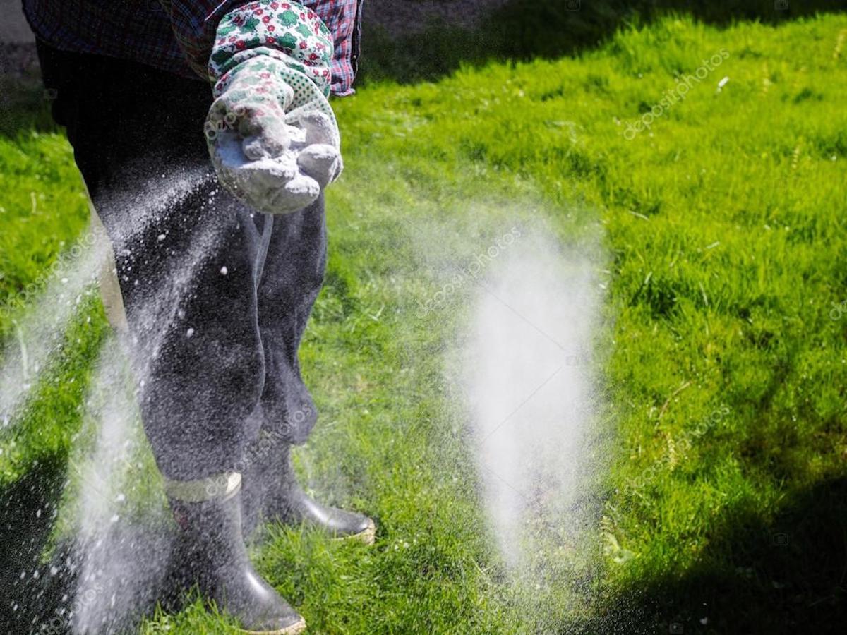 What Is Fertilizer Burn—and How to Reverse It - Bob Vila