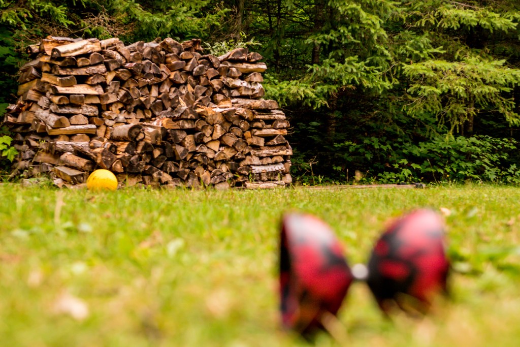 How to Attract Fireflies to Your Yard - Bob Vila