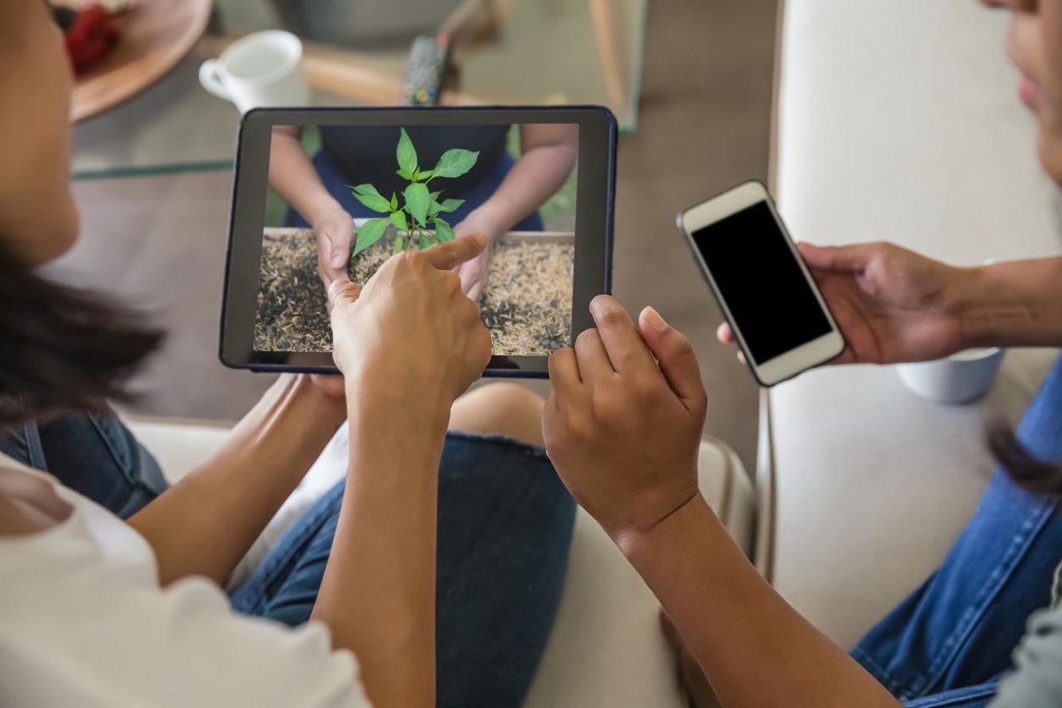 The Best Online Gardening Classes - Picks by Bob Vila