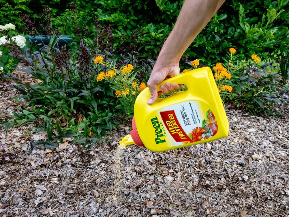 The Best Weed Killers for Flower Beds, Tested & Reviewed