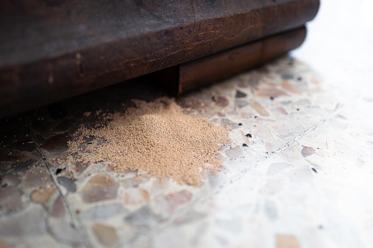 What Do Termite Droppings Look Like, and Are They a Sign of an ...