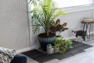 The Best Cat Repellents to Deter Feline Frenemies - Bob Vila
