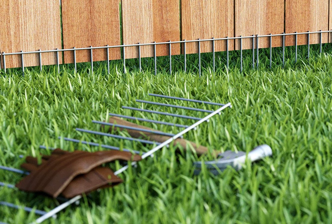 The Best Dog Repellents - Picks from Bob Vila