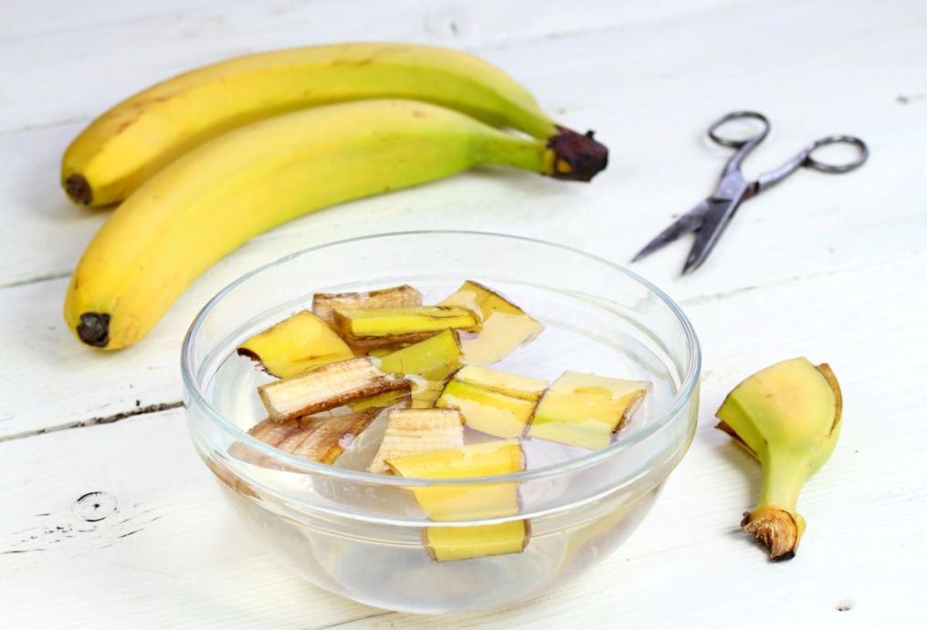 What Is Banana Water and Is it Actually Good for Plants? - Bob Vila