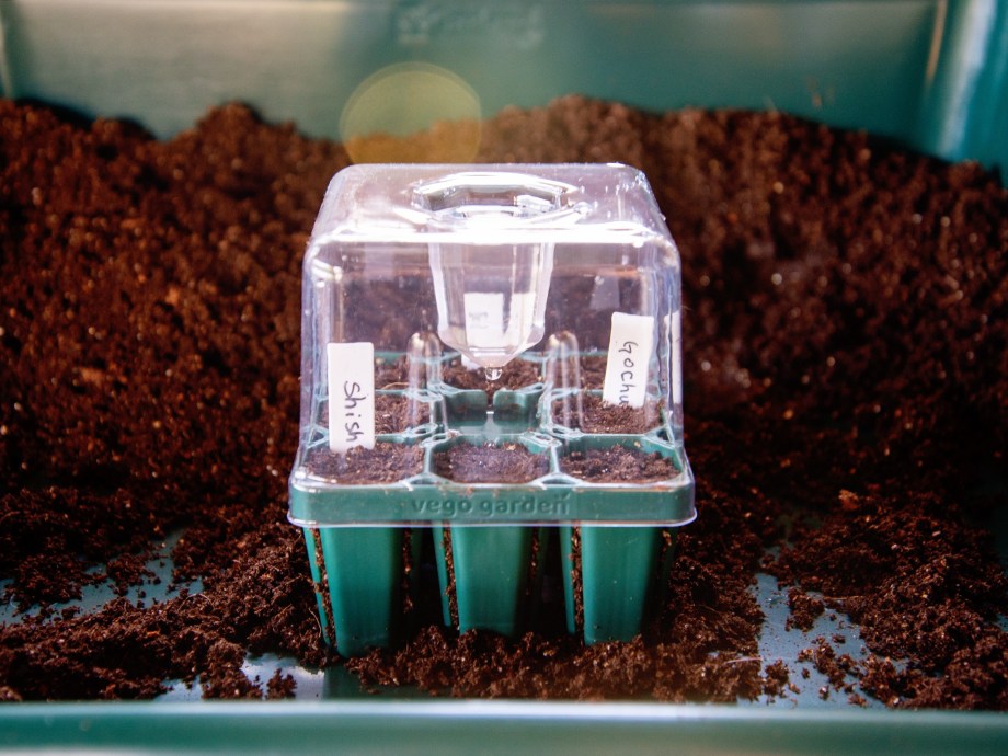 The Best Seed Starting Trays | Tested by Bob Vila