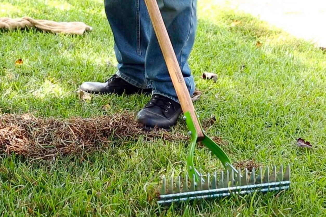 The Best Dethatching Rakes - Picks from Bob Vila