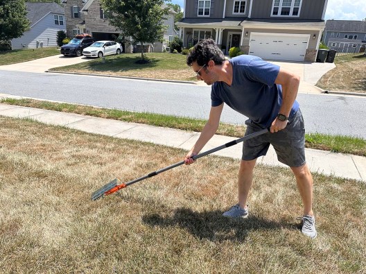 The Best Dethatching Rakes - Tested by Bob Vila