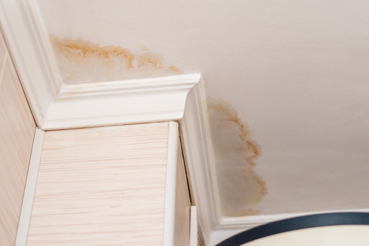 Solved! What Are the Signs of Water Damage in Walls, and What Should I ...