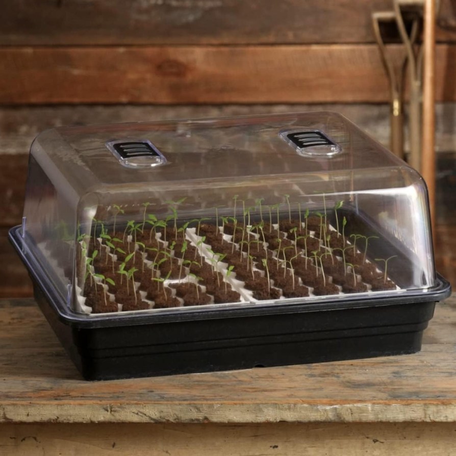 The Best Seed Starting Trays - Tested by Bob Vila