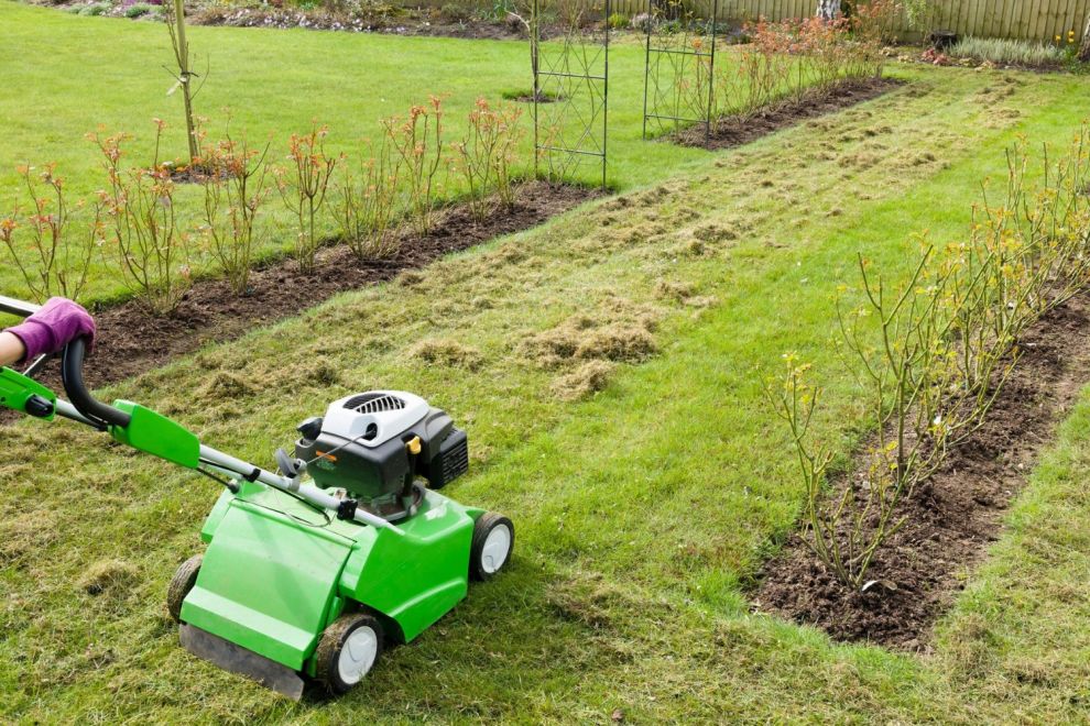 The Best Dethatching Blades - Picks from Bob Vila