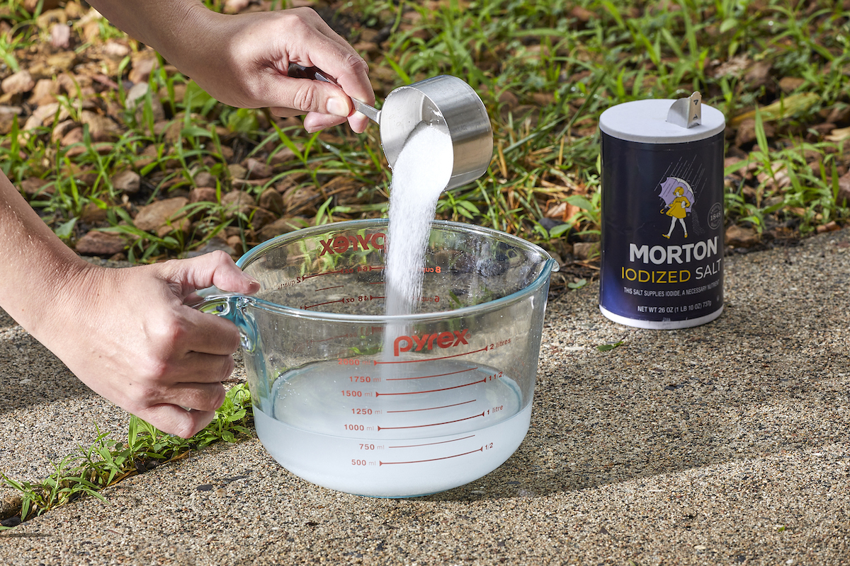 Does Salt Kill Weeds? Read This Before Using it on Your Property