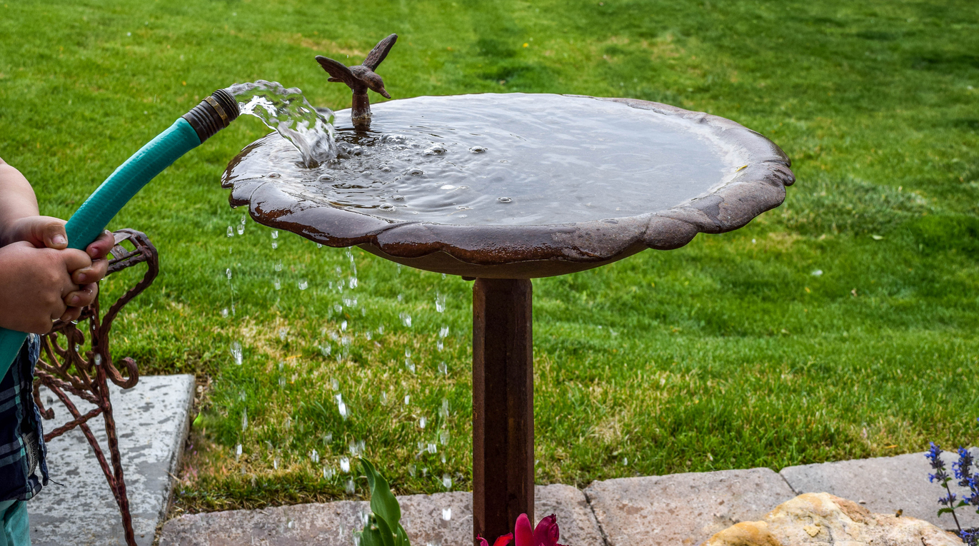 How to Clean a Bird Bath the Right Way - Bob Vila