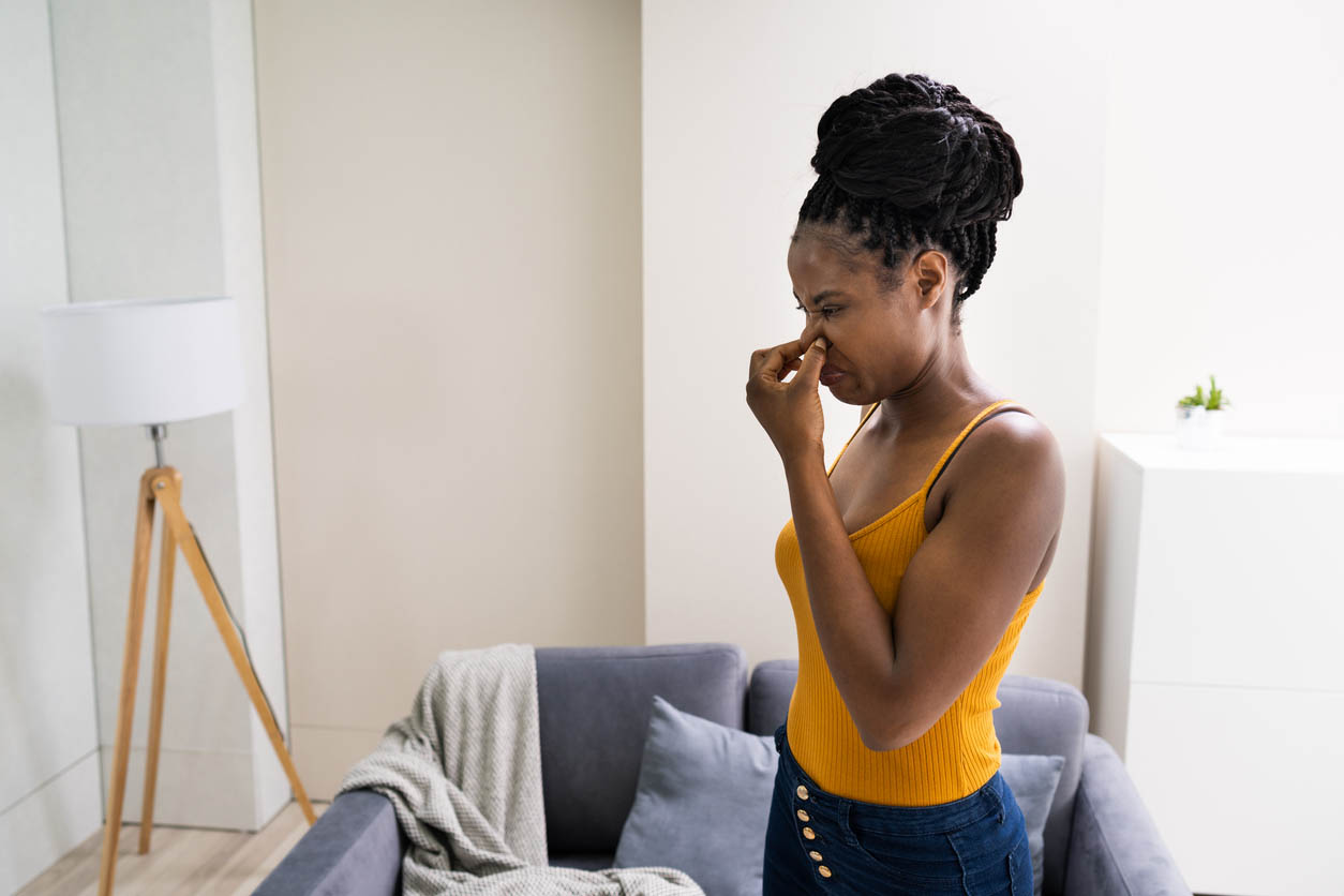 What Does Professional Cigarette Smoke Removal Cost in 2024?