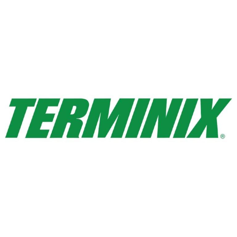 The Best Termite Control Companies in America, Vetted