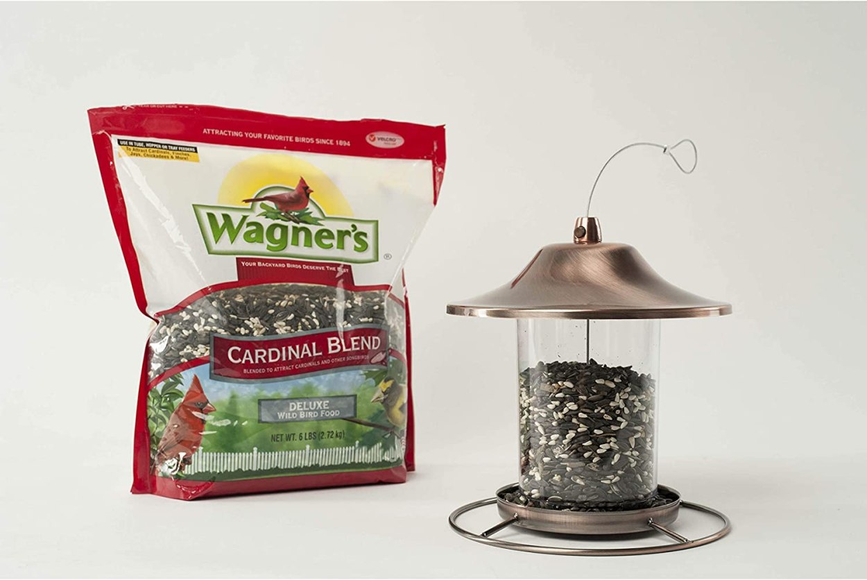 The Best Birdseed - Picks from Bob Vila