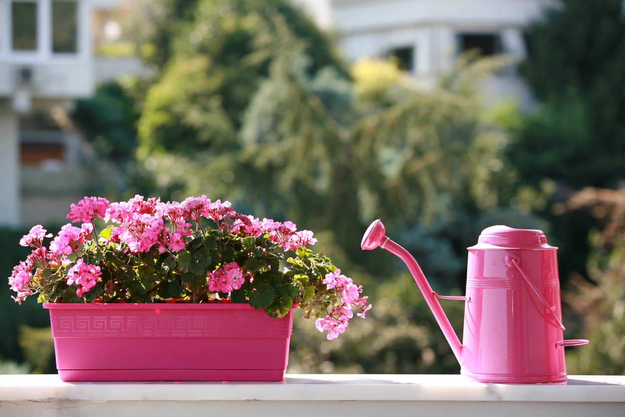 Azalea Care: How to Grow Azaleas in Your Home Garden - Bob Vila