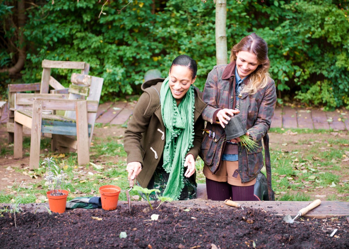 9 Reasons Why Fall Is for Planting