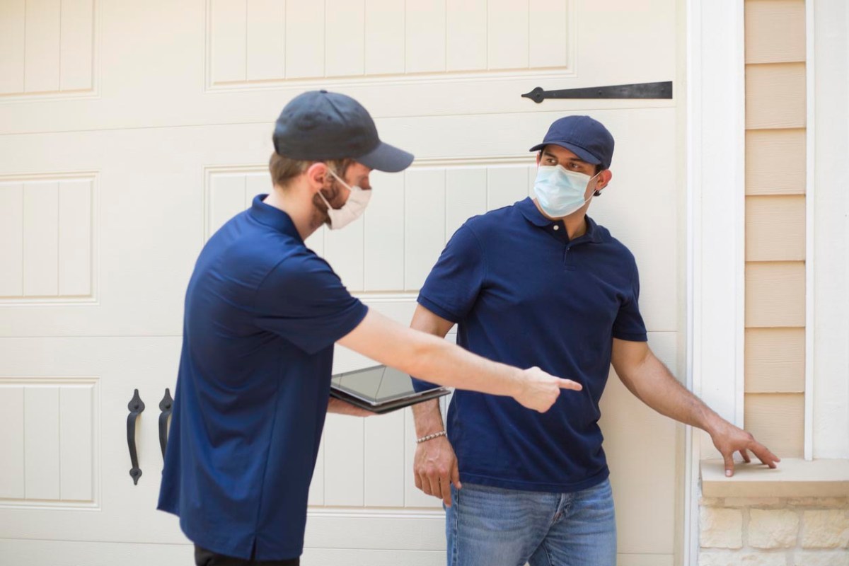 How to Get Rid of Roof Rats - Bob Vila