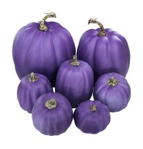 Blue Pumpkin Meaning: Why You Should Put One On Your Porch This ...