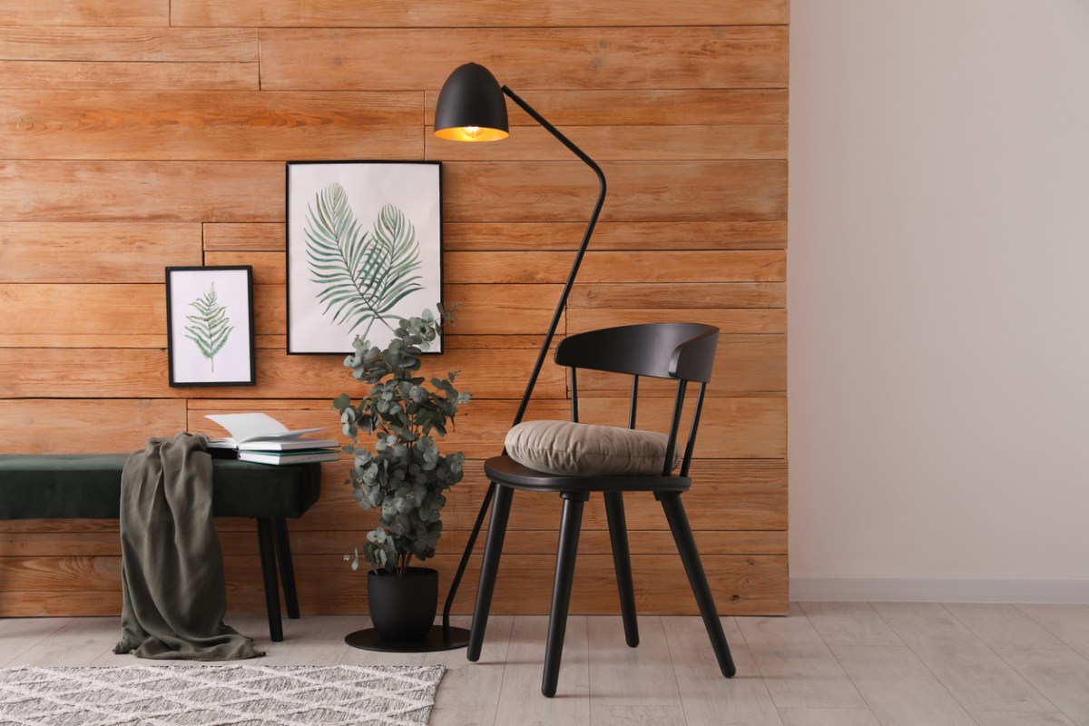Eucalyptus Plant Care: How to Grow The Outback Icon Indoors - Bob Vila