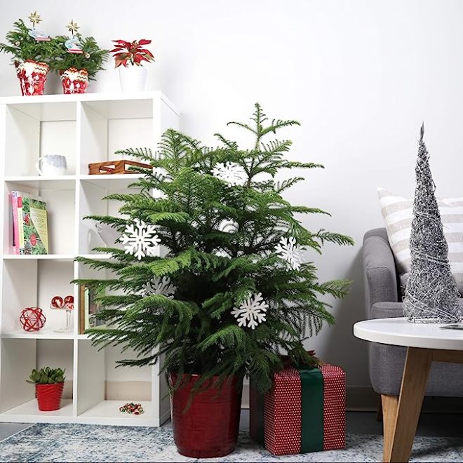 25 Christmas Tree Alternatives to Try This Year - Bob Vila