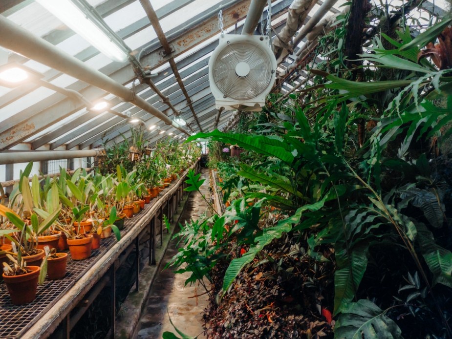 How to Heat a Greenhouse: 8 Ways to Garden in the Cold - Bob Vila