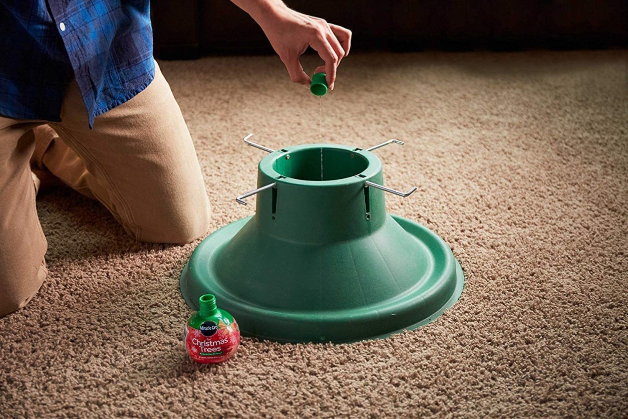 8 Christmas Tree Care Myths Busted