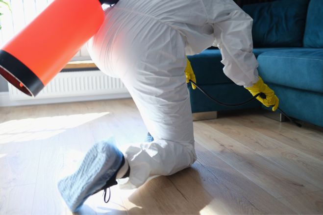 How Much Does Fumigation Cost? These Are the Main Factors