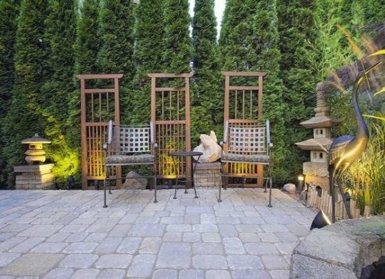 15 Best Trees and Shrubs for Privacy Around the House - Bob Vila