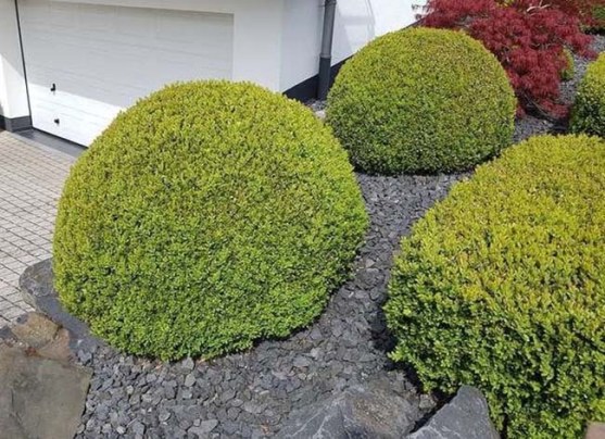 Does Your Home Smell Funny? 12 Odors That Could Mean Big Trouble - Bob Vila