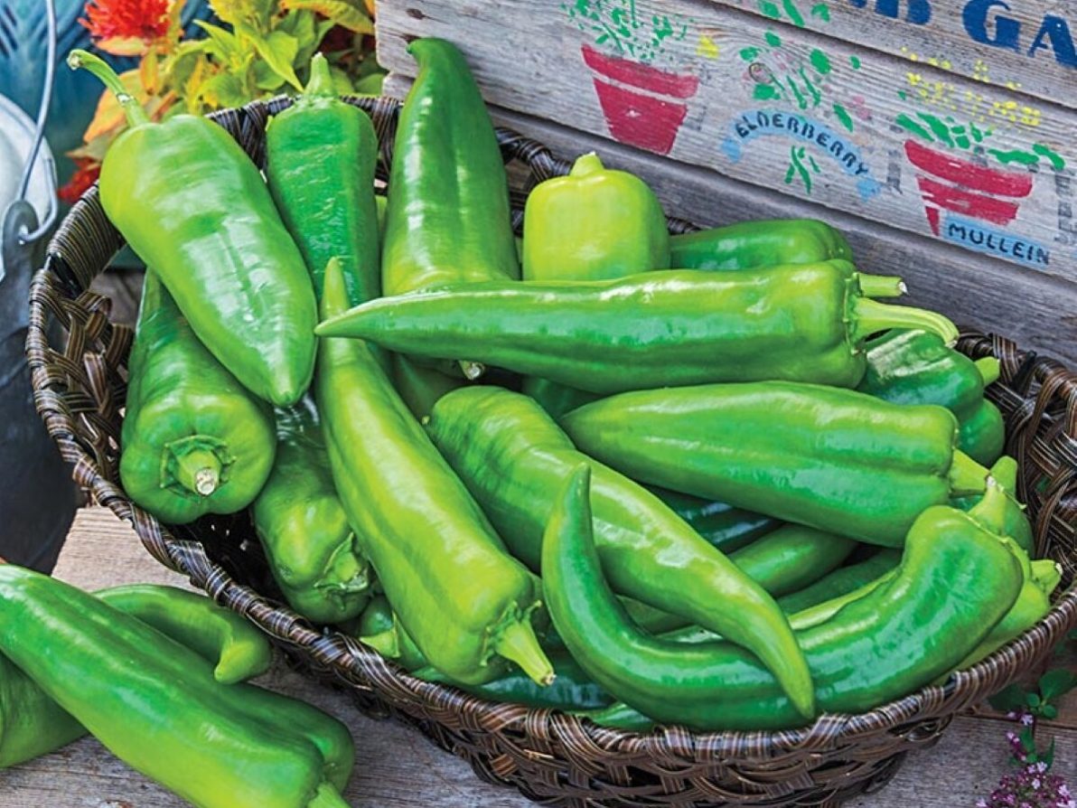 The 25 Best Types of Peppers for Novice Gardeners to Grow - Bob Vila