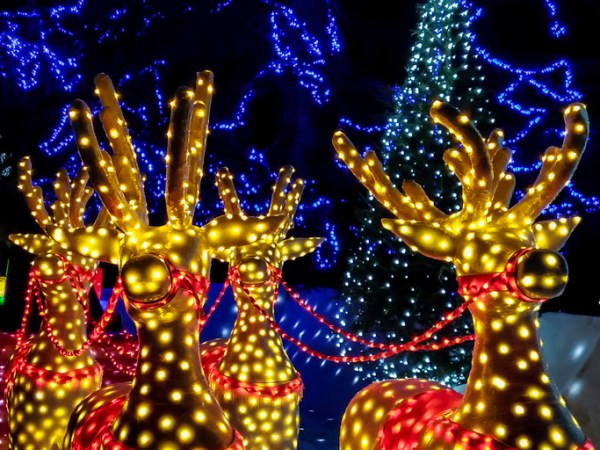 10 Ways to Keep Thieves From Stealing Your Holiday Yard Decorations
