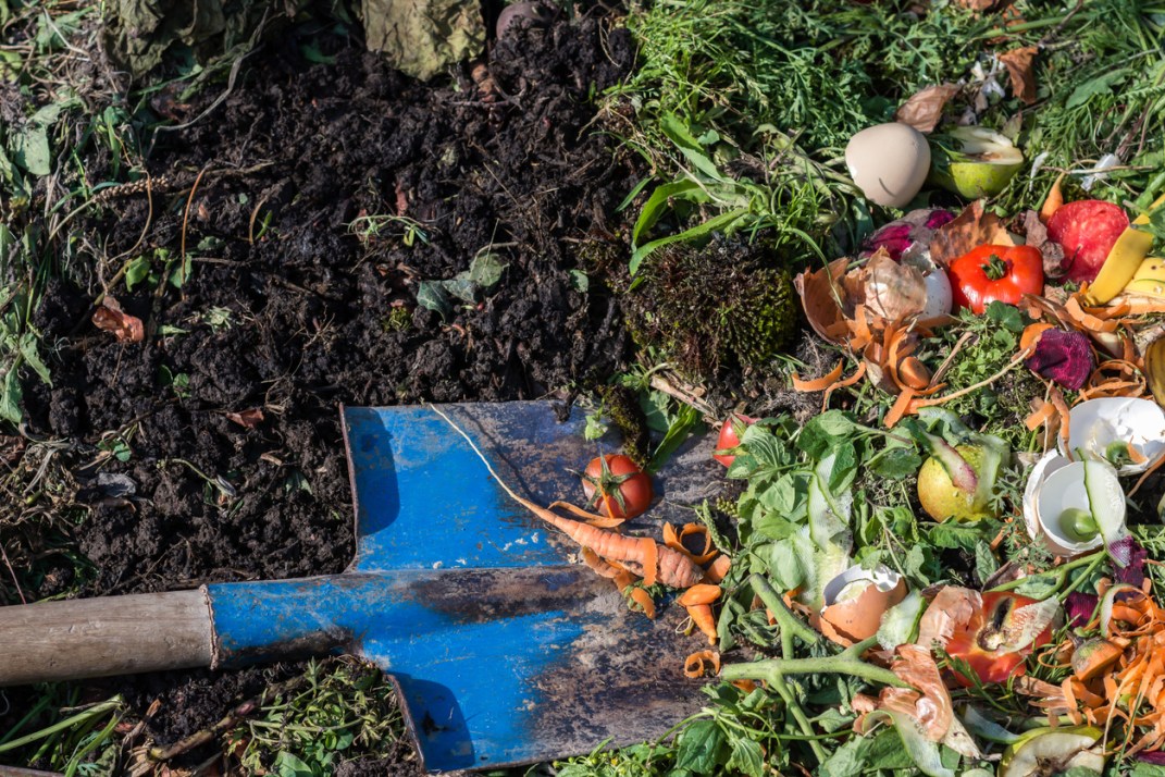 What Is Blood Meal and How Can I Use It in My Garden? - Bob Vila