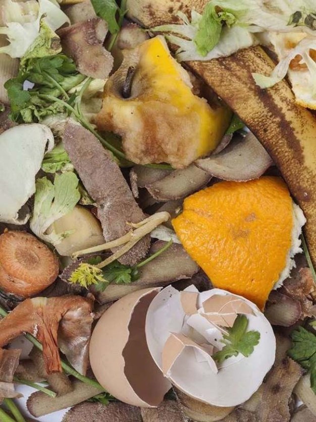 Does Your Home Smell Funny? 12 Odors That Could Mean Big Trouble - Bob Vila