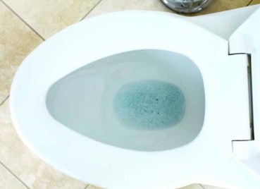 How to Unclog a Toilet Without a Plunger: 7 Easy Methods - Bob Vila