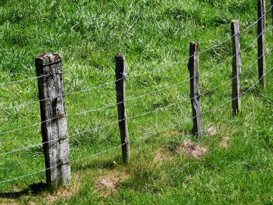 Cheap Fence Ideas: 18 Frugal Ways to Enclose Your Property