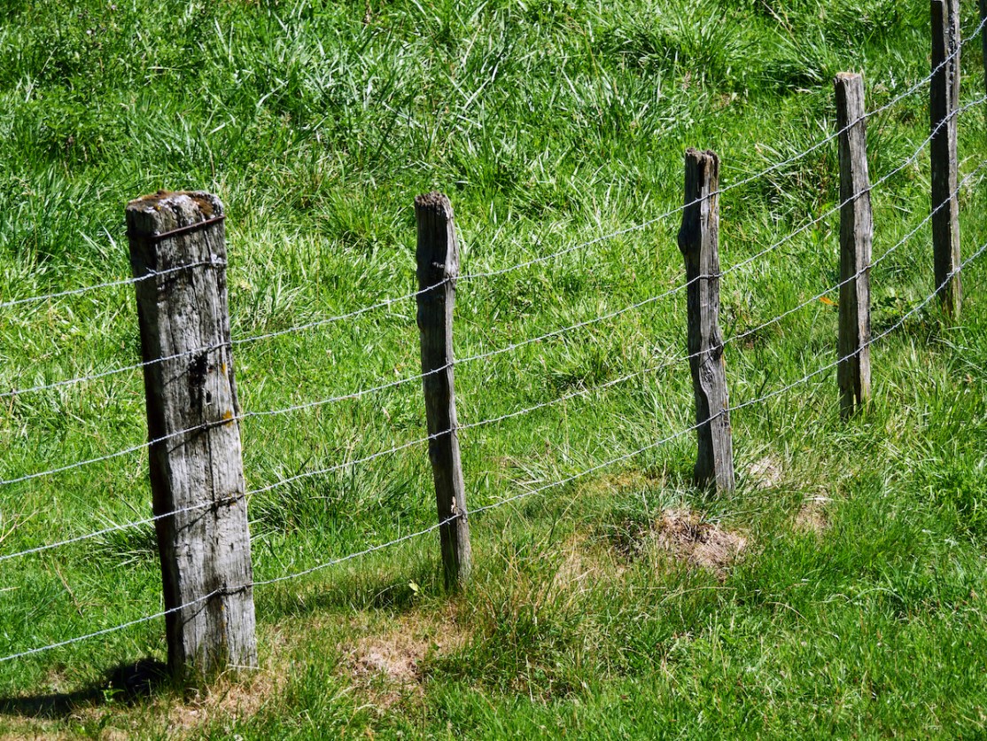 Cheap Fence Ideas: 18 Frugal Ways to Enclose Your Property