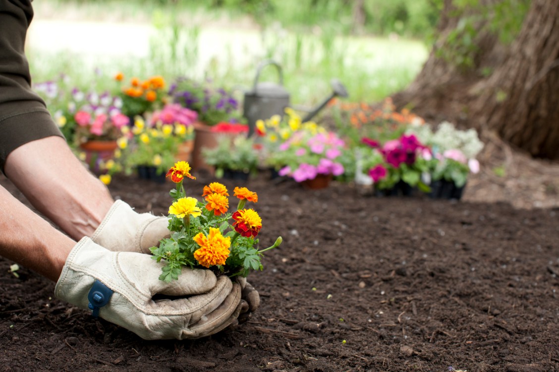 Gardening for Beginners: 10 Tips for Getting Started - Bob Vila