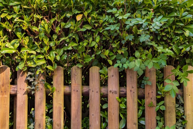 Cheap Fence Ideas: 18 Frugal Ways to Enclose Your Property